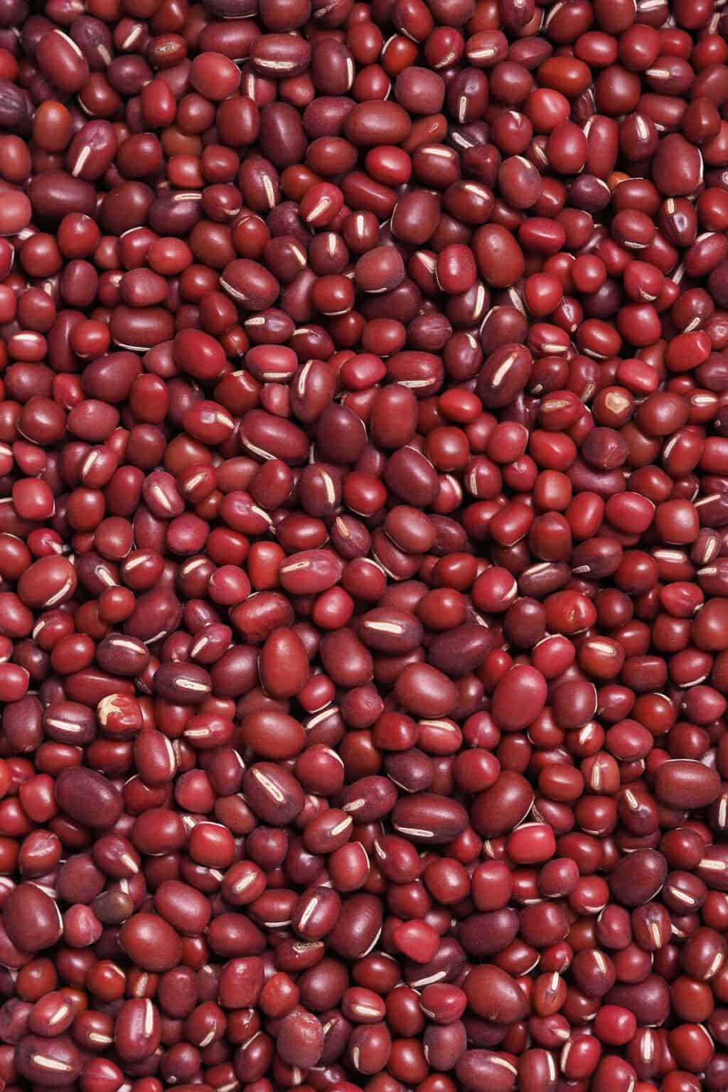 Kidney Beans vs. Red Beans: What's the Difference?